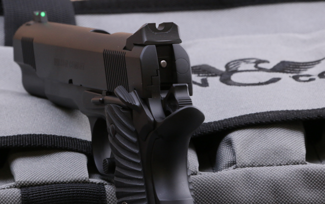 Wilson Combat CQB 10mm | Precision 1911 Performance